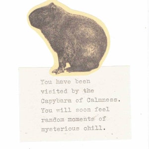 Capybara of Calmness Card | Funny Encouragement Keep Calm and Carry on ...
