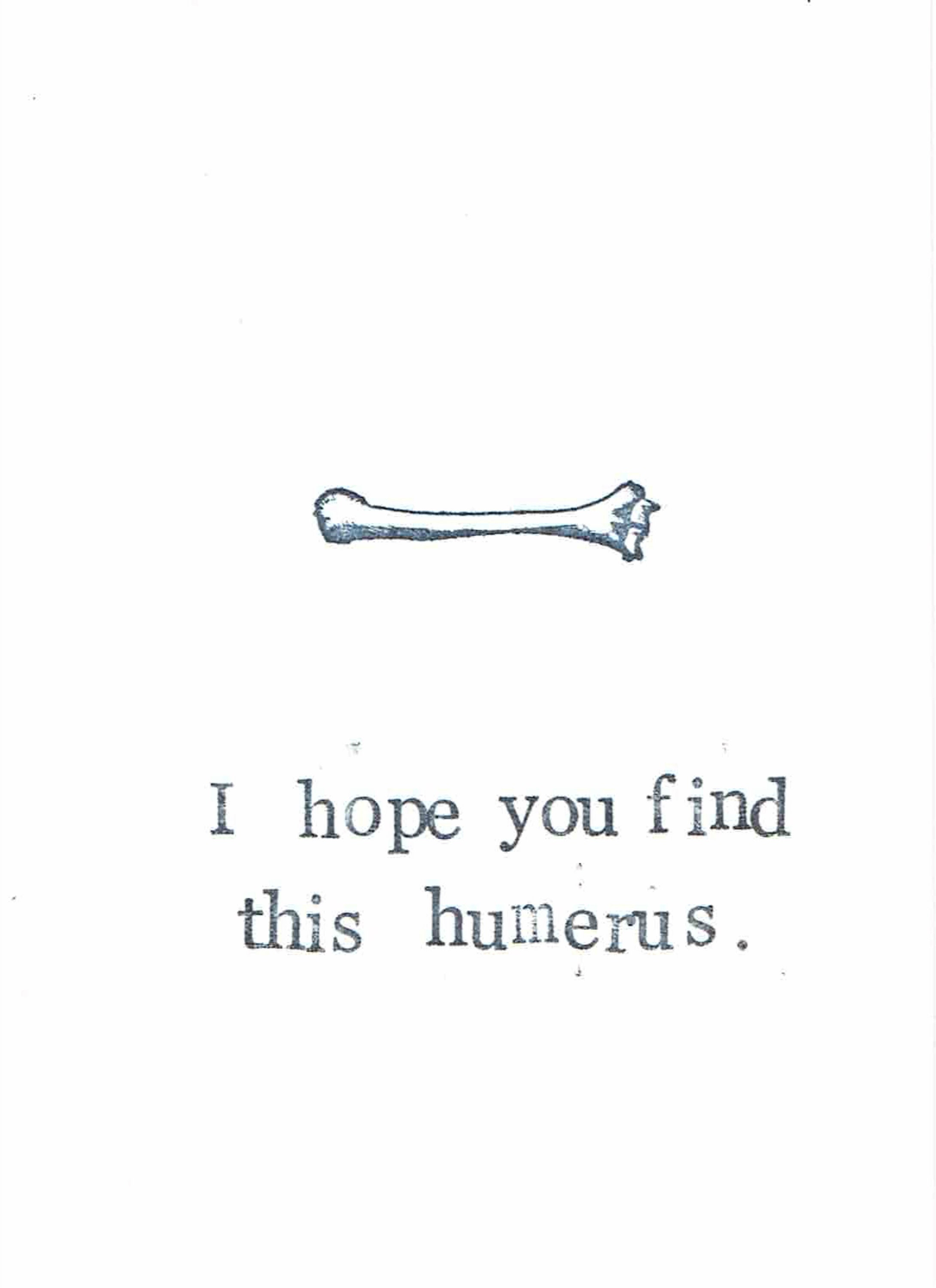 Find This Humerus Card Funny Skeleton Anatomy Science | Etsy