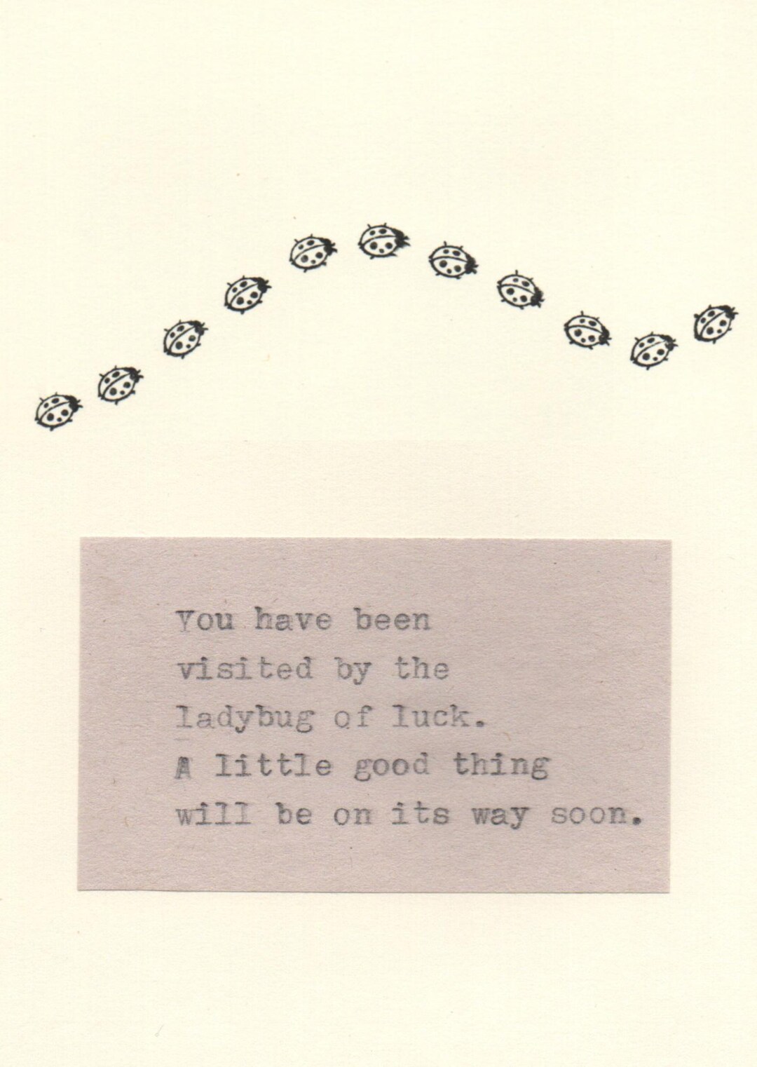 Funny Ladybug of Luck Good Luck Encouragement Card Friendship Card - Etsy