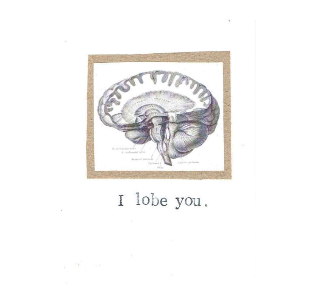 I Lobe You Card | Funny Valentine Brain Anatomy Science Pun Nerdy Geeky ...