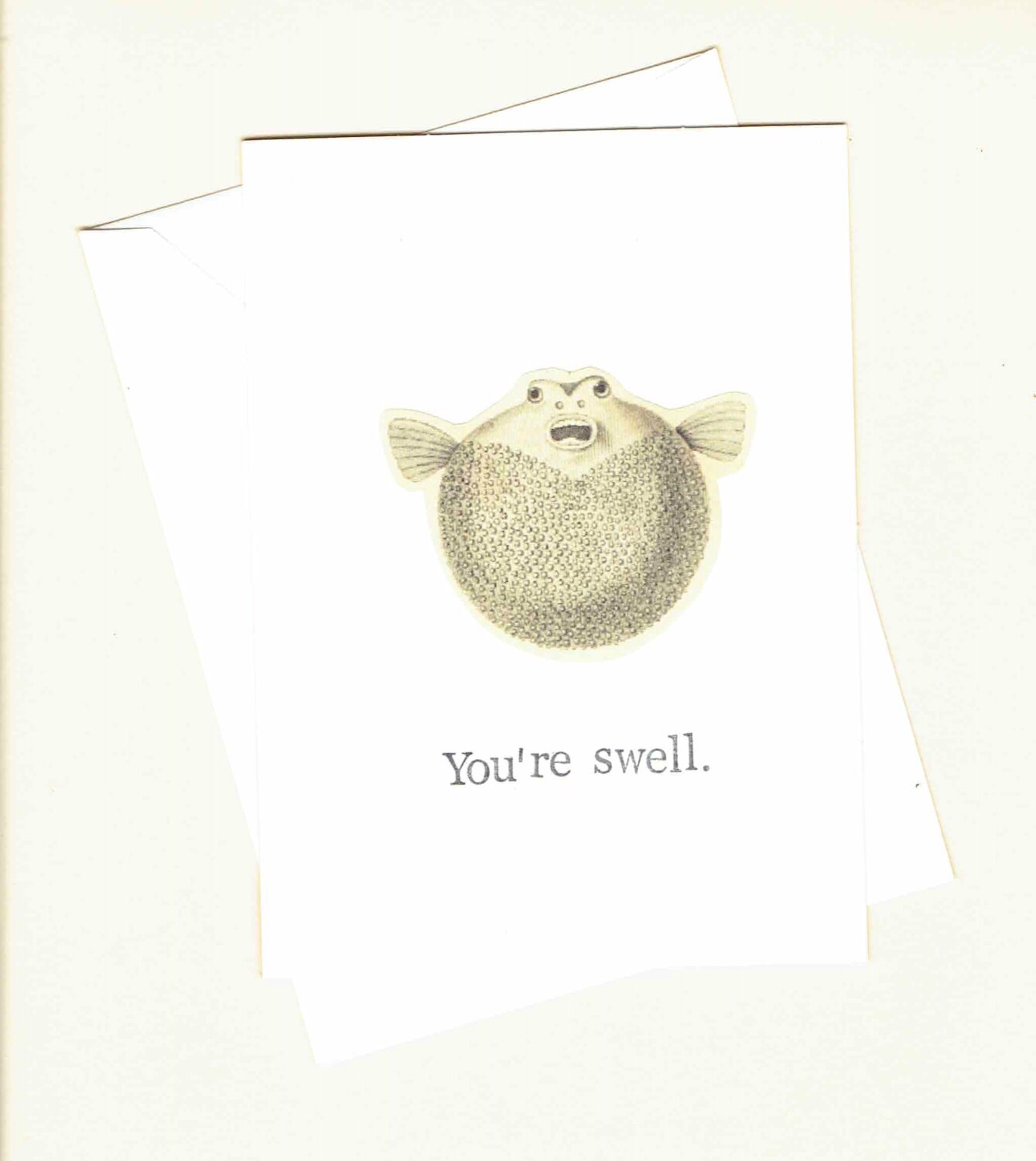 You're Swell Pufferfish Card Funny Marine Biology Humor | Etsy