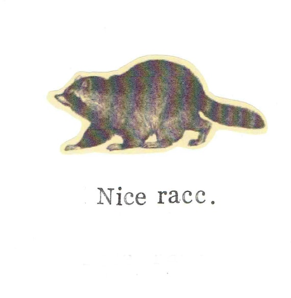 Nice Racc Raccoon Card Funny Valentine's Day Card | Etsy