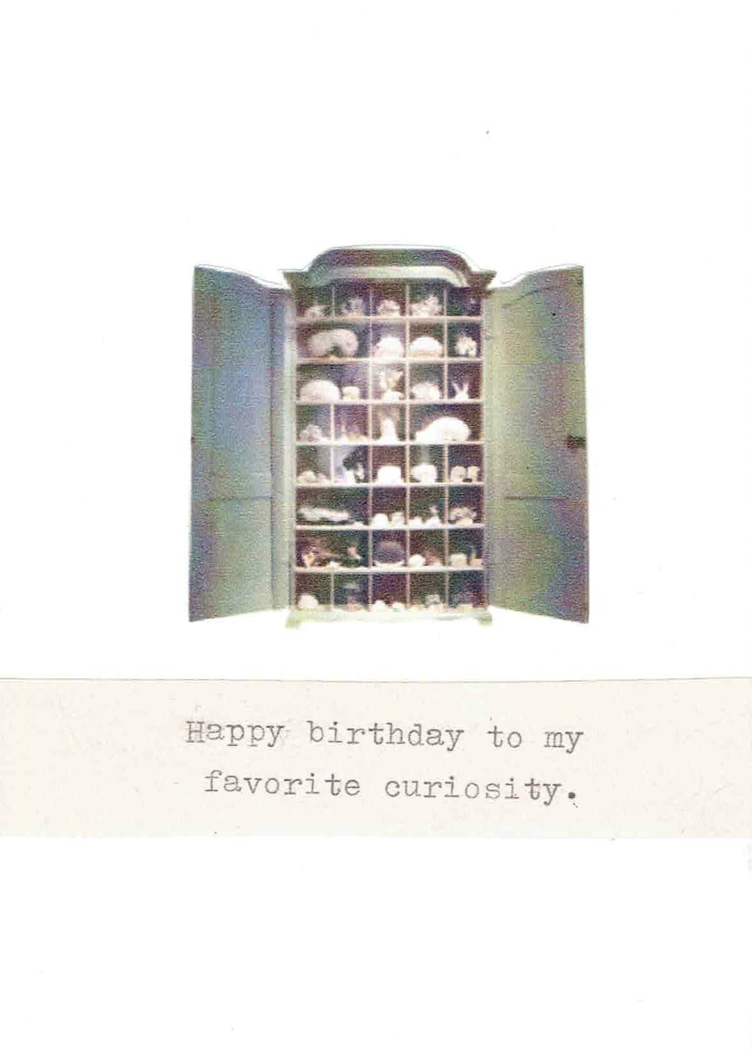 Favorite Curiosity Birthday Card Funny Birthday Card Cabinet of ...