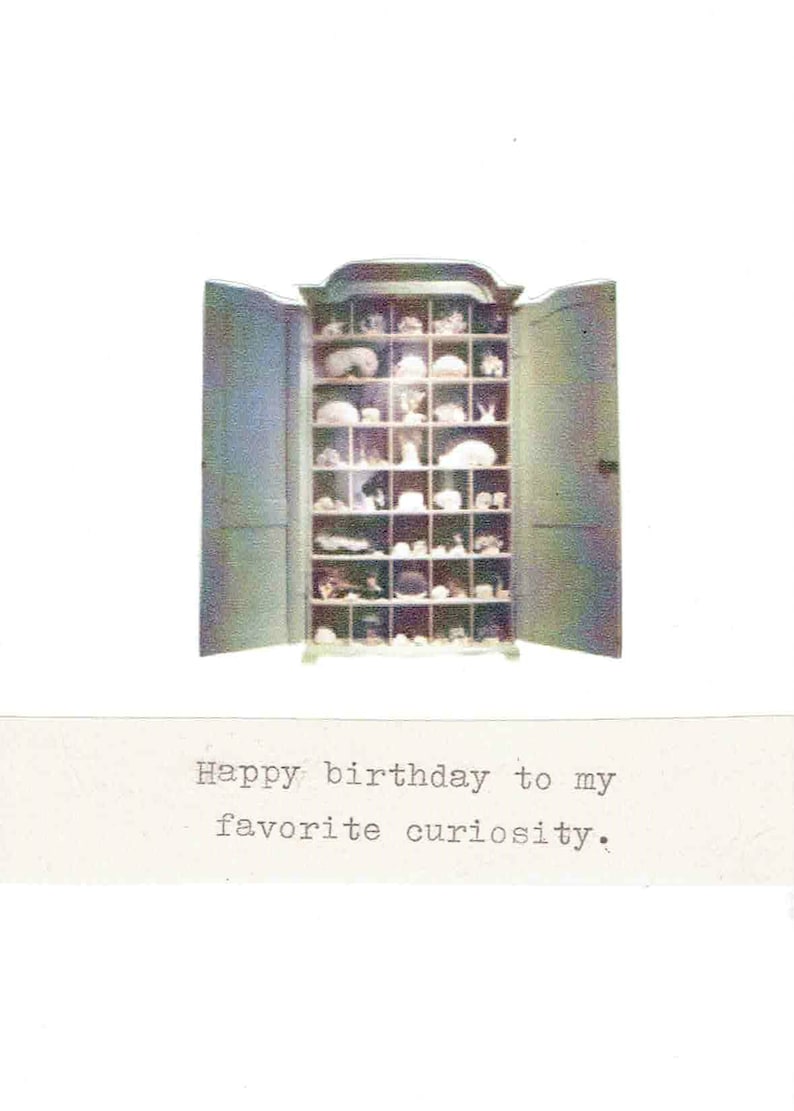 Favorite Curiosity Birthday Card Funny Birthday Card Cabinet - Etsy
