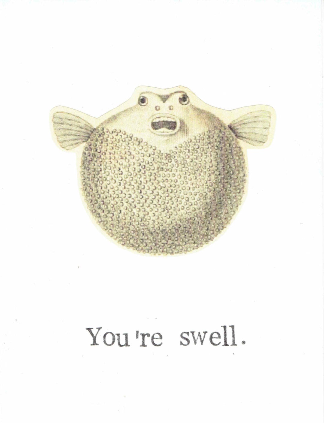 You're Swell Pufferfish Card Funny Marine Biology Humor Fish Weird ...