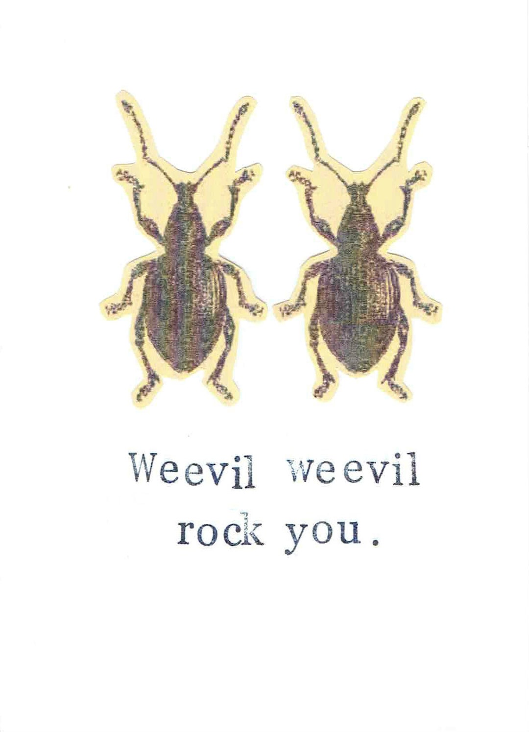 Weevil Weevil Rock You Card | Funny Science Humor Insect Beetles Bugs ...