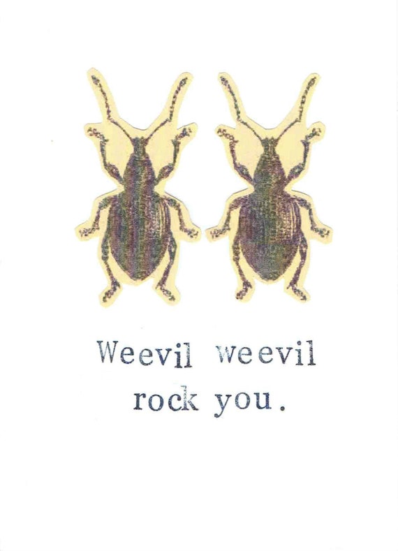 Weevil Memes
