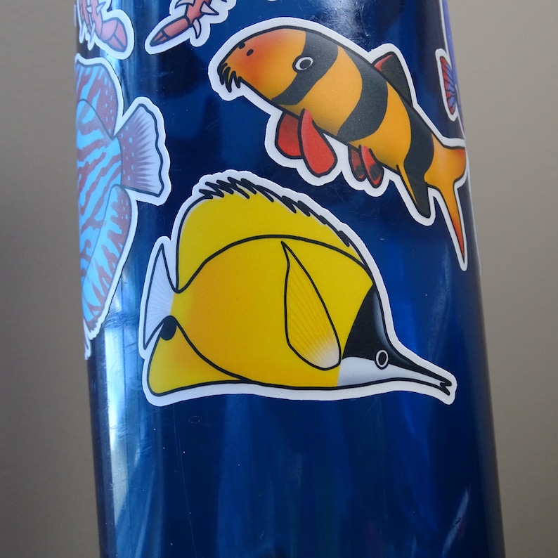 Yellow Longnose Butterflyfish Vinyl Sticker - Etsy