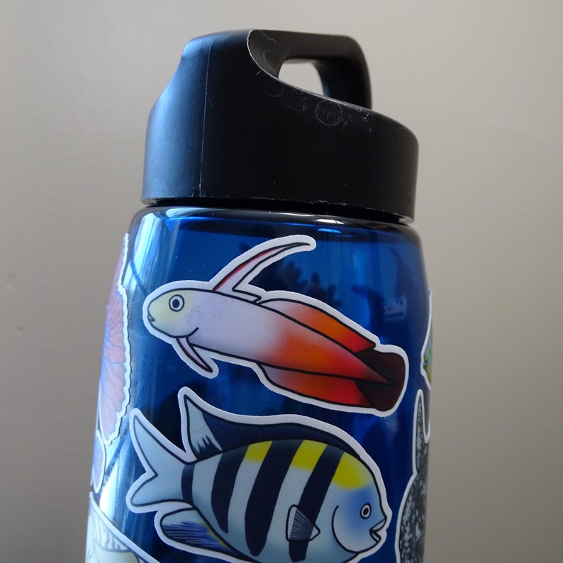 Firefish Goby Vinyl Sticker - Etsy