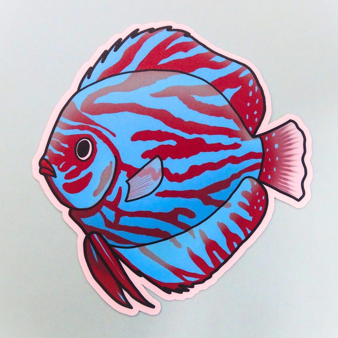 Blue Discus Vinyl Sticker - Etsy