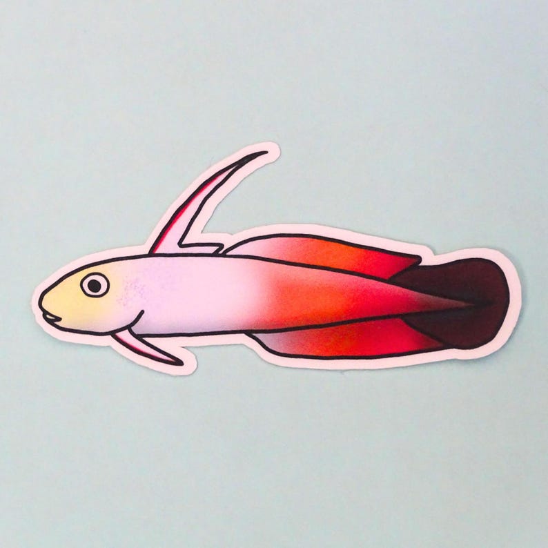 Firefish Goby Vinyl Sticker - Etsy