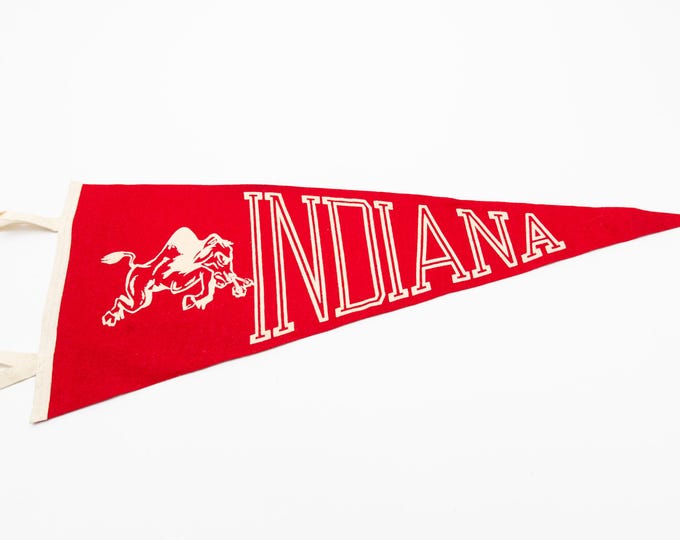 Large Vintage Indiana University Hoosier the Bison Souvenir Felt ...