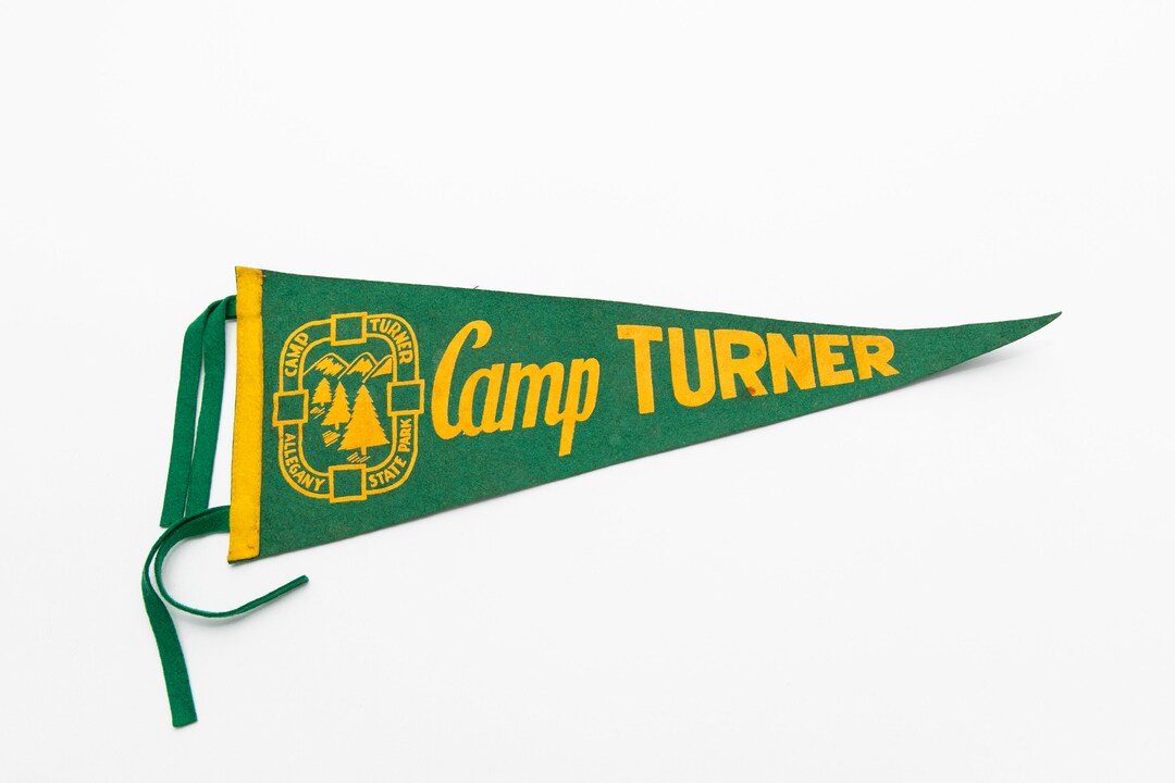 Vintage Camp Turner Allegany State Park New York Souvenir Felt Pennant ...