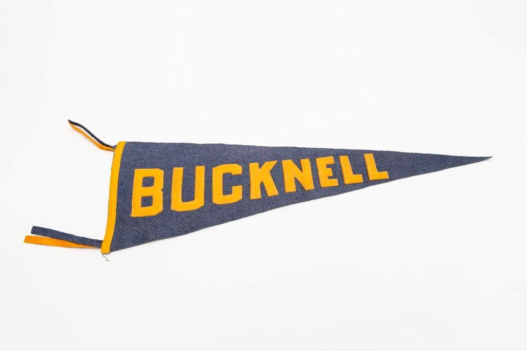 Early Vintage Bucknell University Souvenir Felt Pennant - Etsy