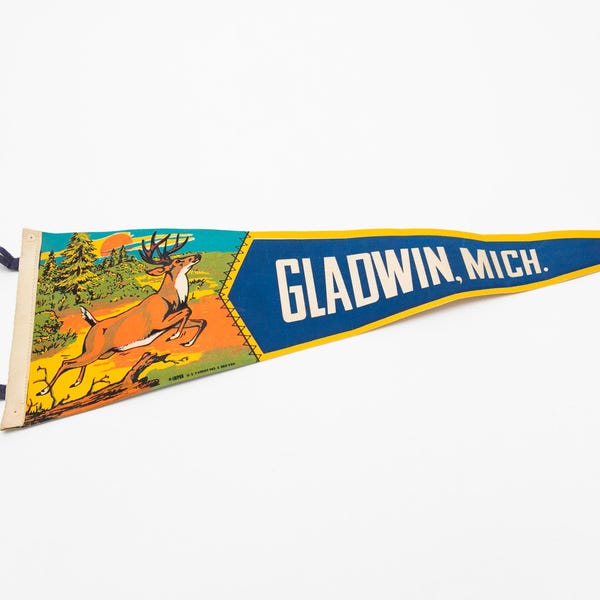 Michigan Felt Pennants - Etsy