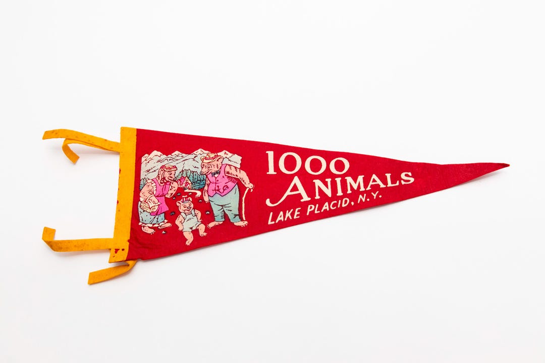 Vintage 1000 Animals Lake Placid New York Souvenir Felt Pennant - Etsy