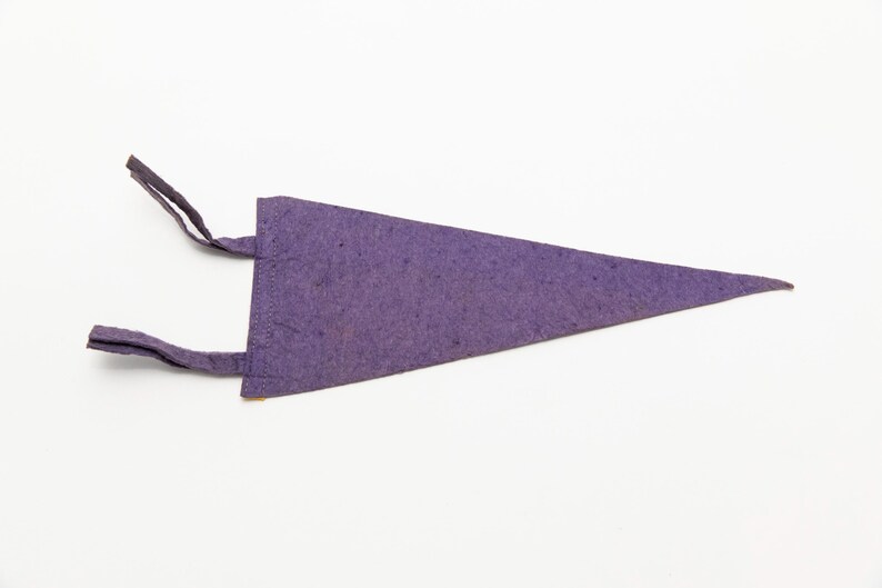 Vintage Charles Lindbergh State Park Minnesota Souvenir Felt Pennant - Etsy