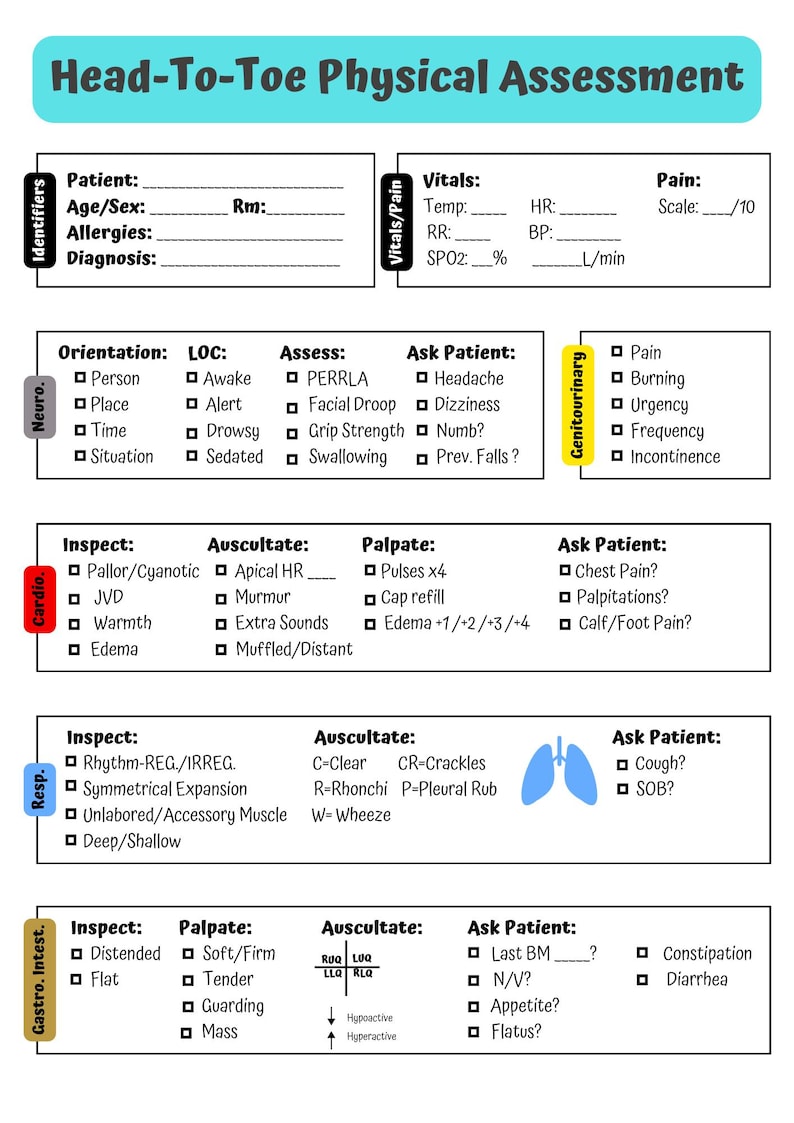 Simplified Head-to-toe Physical Assessment Tool - Etsy