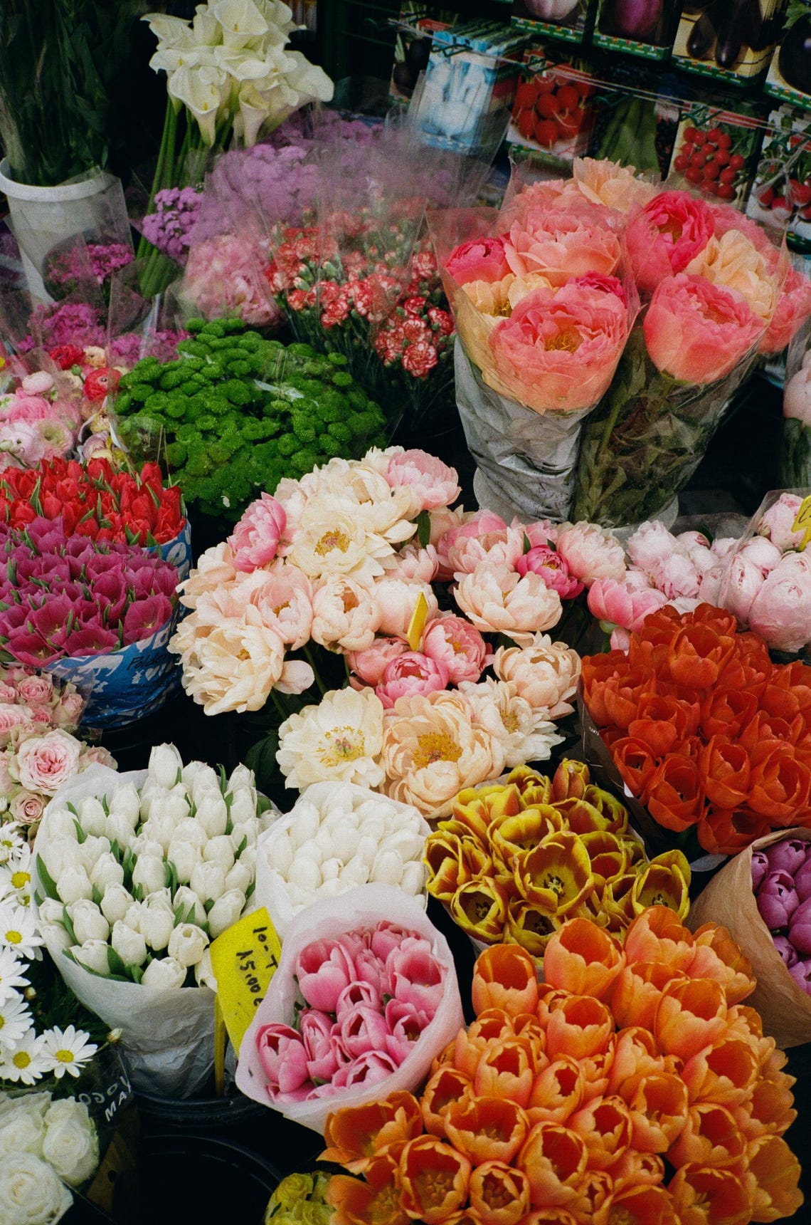 Italian Flower Market: 35mm Film Photo Print - Etsy