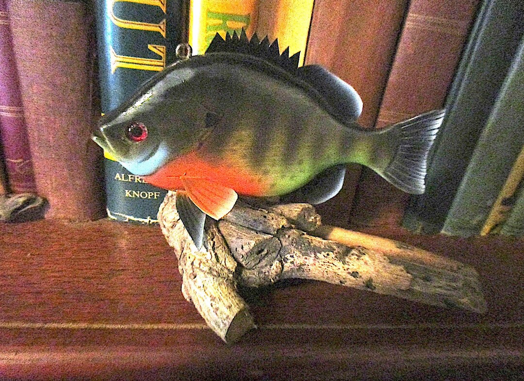 ST02 Bluegill- James Stangland Fish Decoy/carving! A Favorite! Bright ...