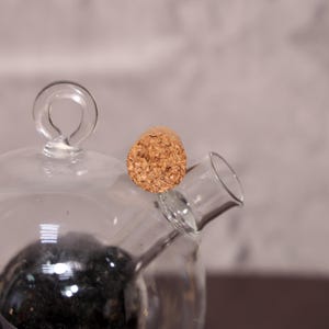 FA Homunculus in a Bottle Handmade Cosplay Prop Anime Collector’s ...