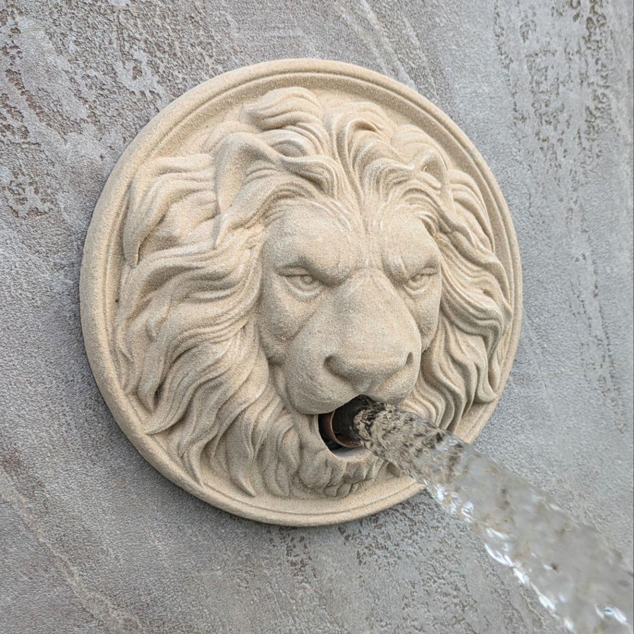 Lion Head 8'' Water Spout Pool Water Feature Wall Fountain Emitter Lion ...