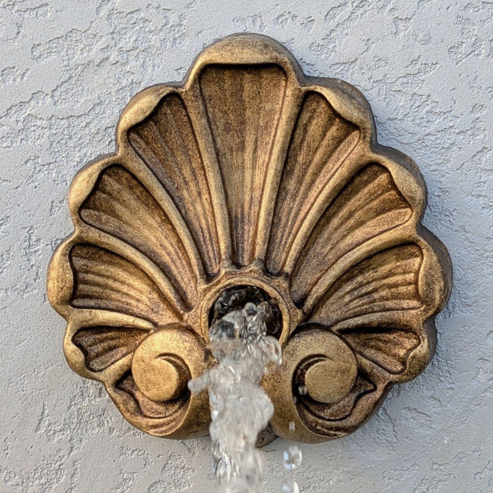 Water Spout Seashell Pool Water Feature Wall Fountain Emitter Raised ...