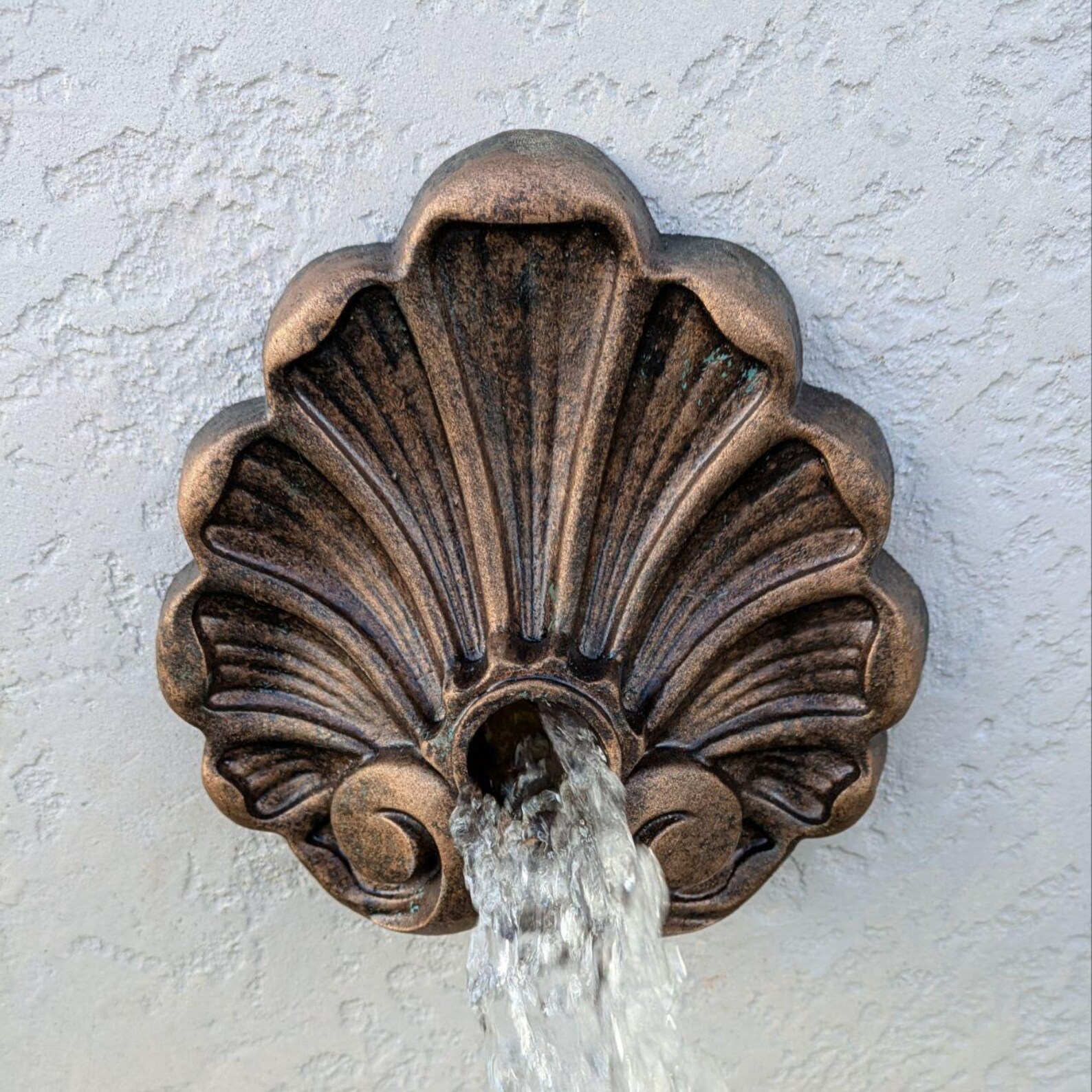 Water Spout Seashell Pool Water Feature Wall Fountain Emitter Raised ...