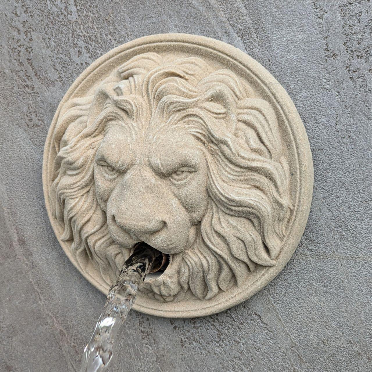 Lion Head 8'' Water Spout Pool Water Feature Wall Fountain Emitter Lion ...