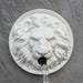 Lion Head 8'' Water Spout Pool Water Feature Wall Fountain Emitter Lion ...