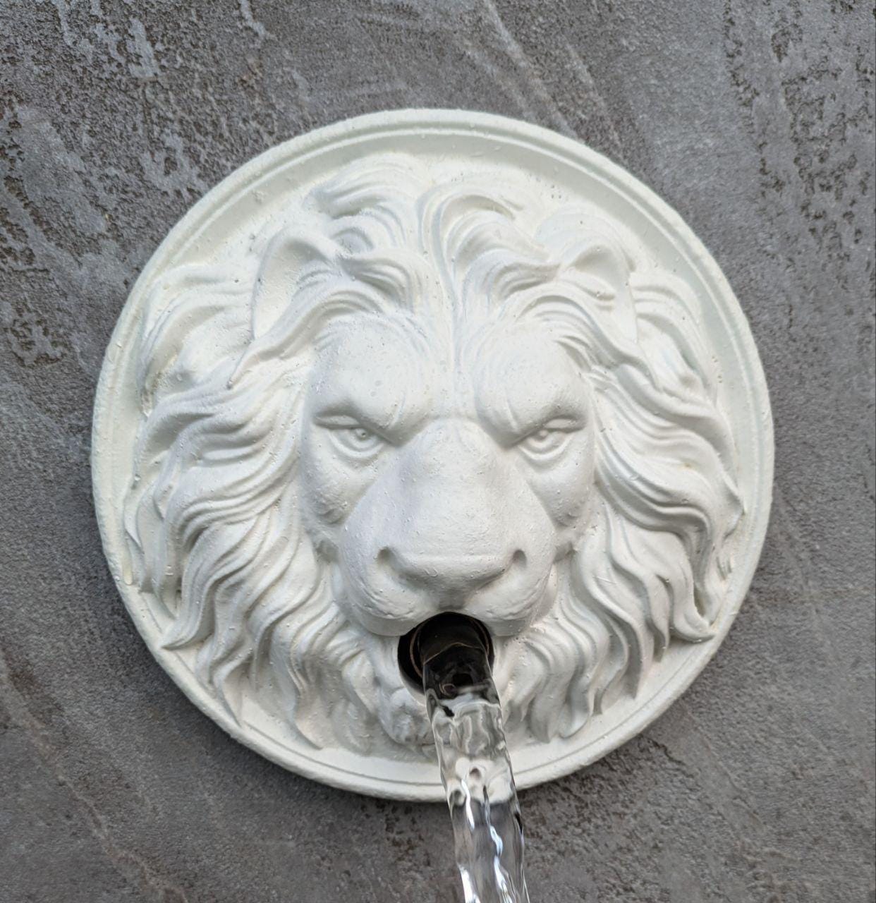 Lion Head 8'' Water Spout Pool Water Feature Wall Fountain Emitter Lion ...