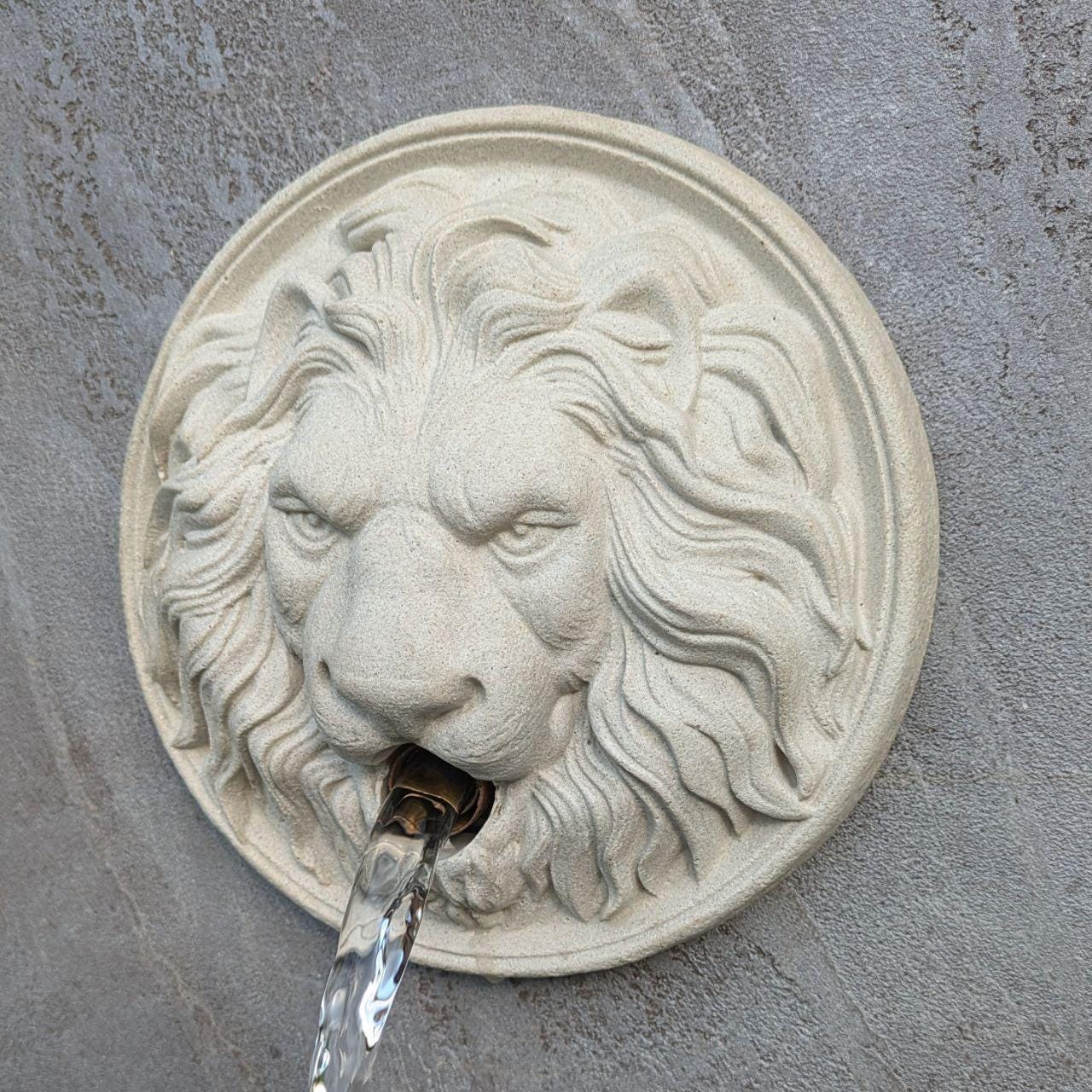 Lion Head 8'' Water Spout Pool Water Feature Wall Fountain Emitter Lion ...