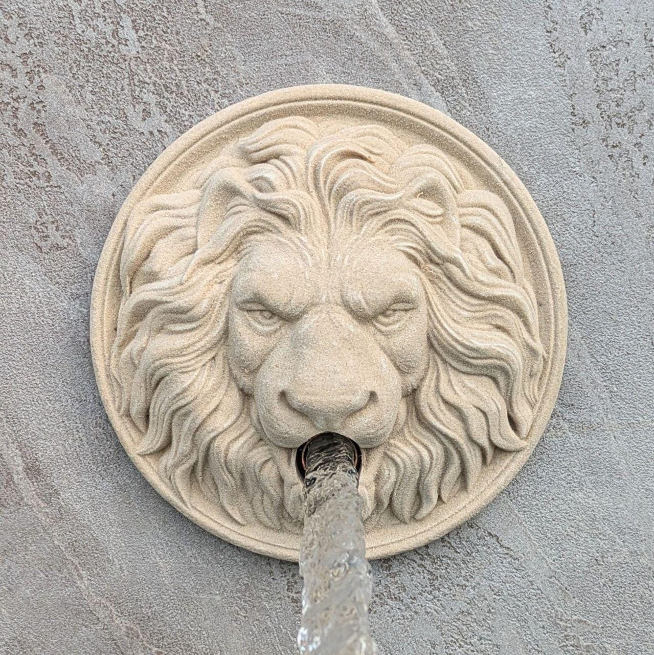 Lion Head 8'' Water Spout Pool Water Feature Wall Fountain Emitter Lion ...