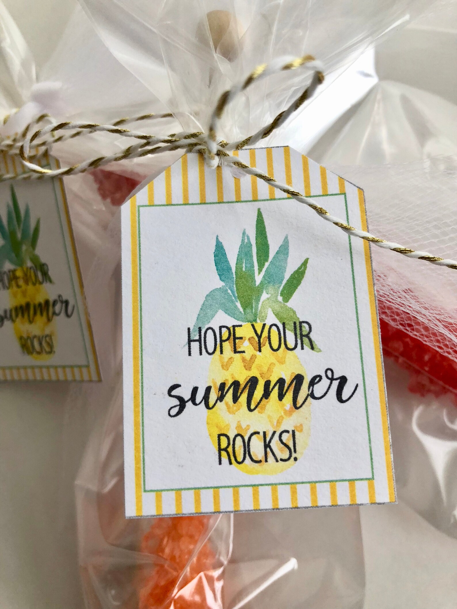 Auto Download Printable Hope Your Summer Rocks Classroom Gift End of ...