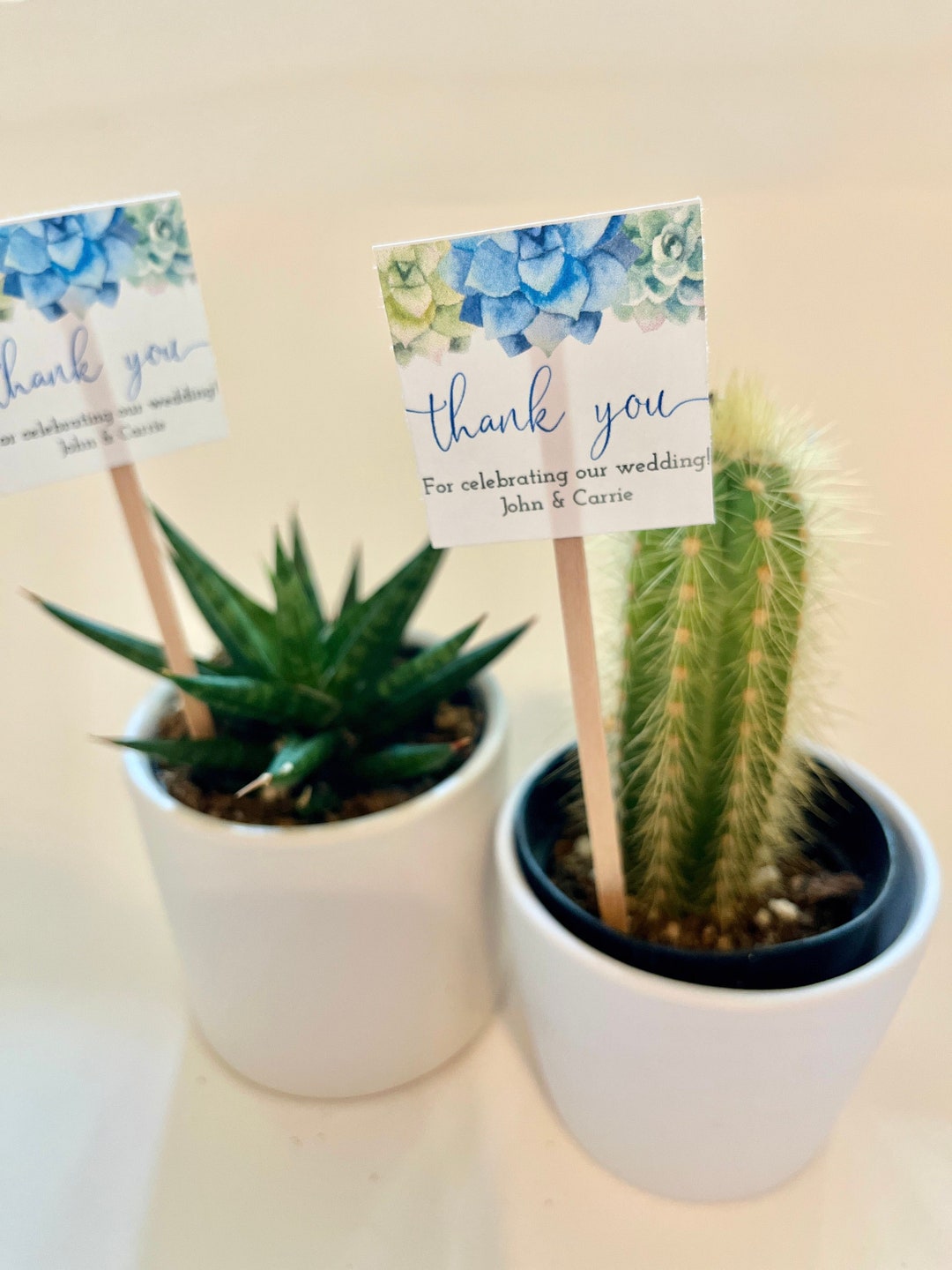 Thank You Plant Sticks I Mini Succulent Plant Sticks I Thank You I ...