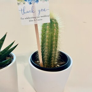 Thank You Plant Sticks I Mini Succulent Plant Sticks I Thank You I ...