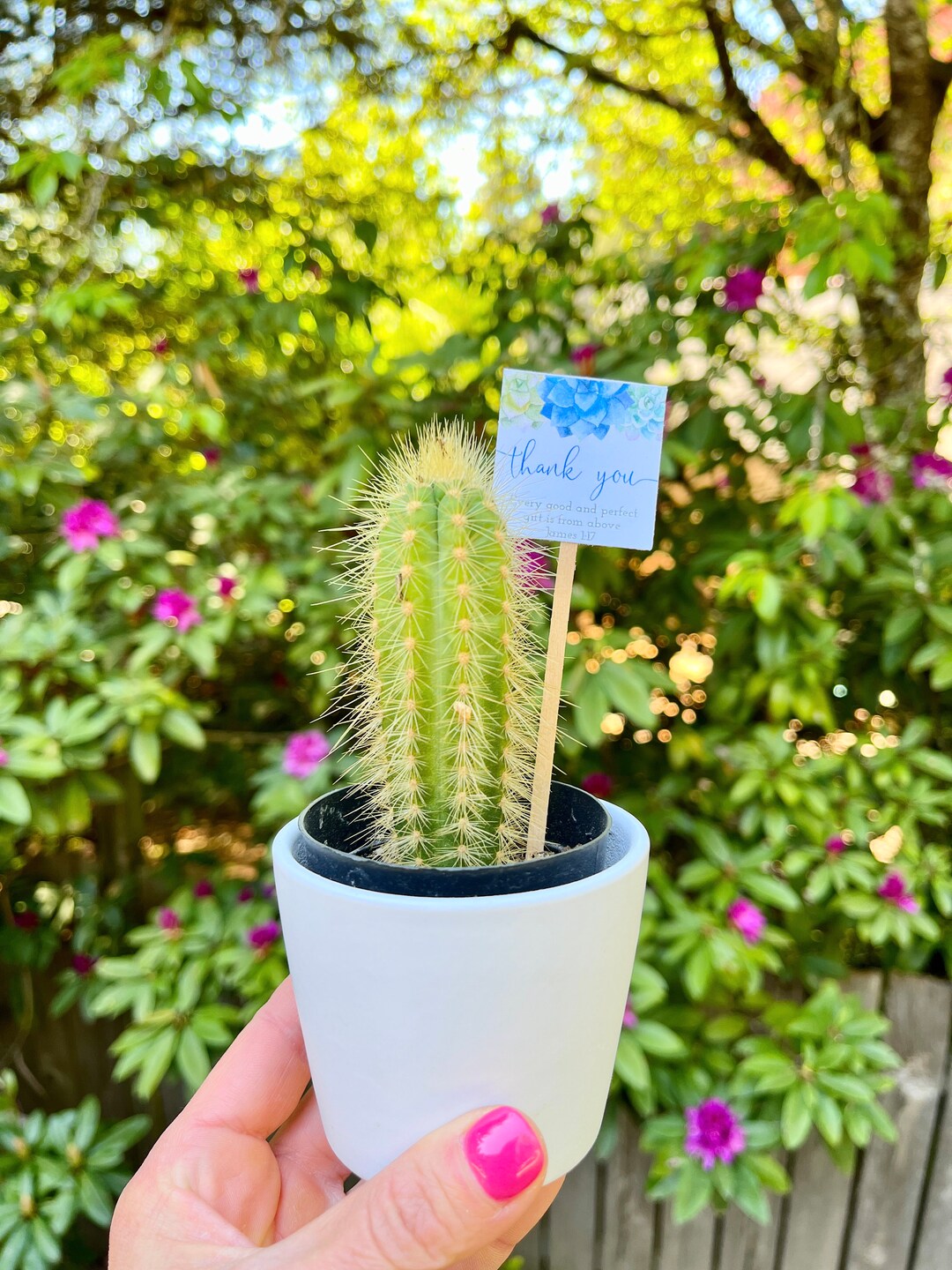 Thank You Plant Sticks I Mini Succulent Plant Sticks I Thank You I ...