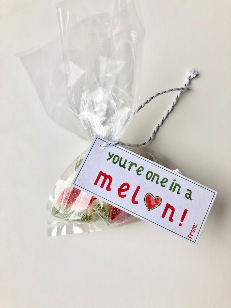 You're One in a Melon Printable Valentine Classroom - Etsy