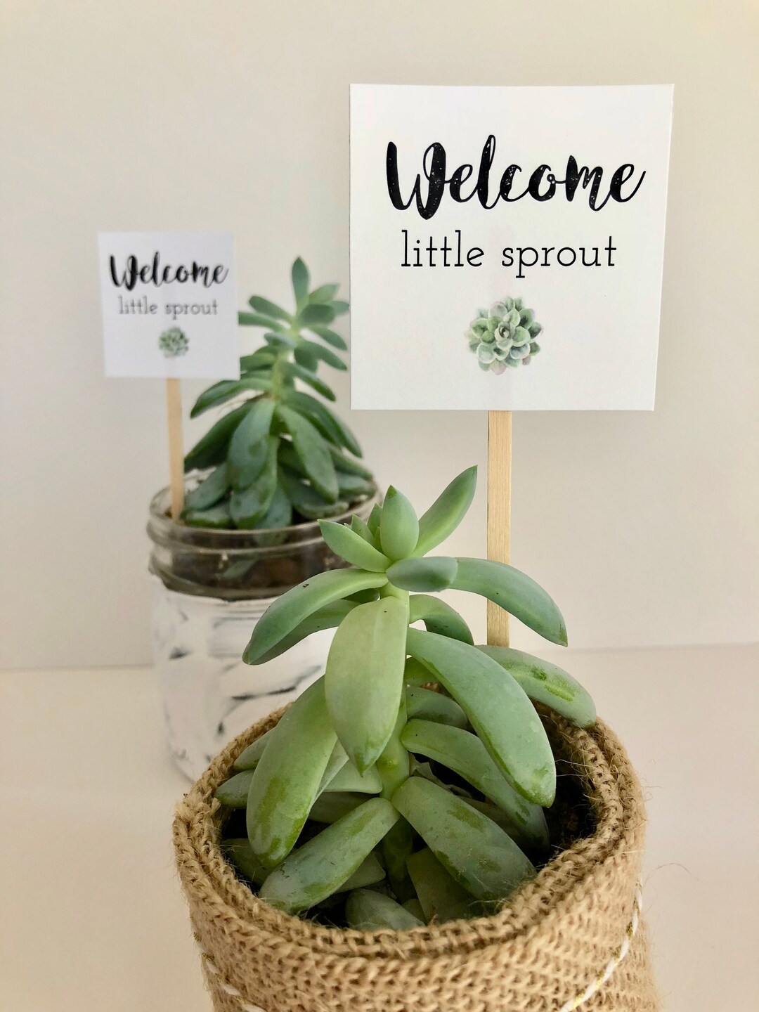 Succulent Plant Stick Tag I Print at Home I Welcome Little Sprout ...