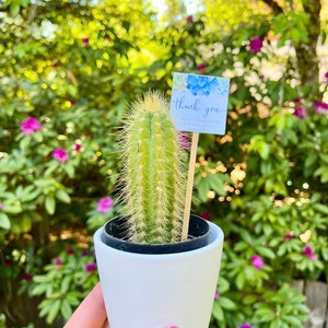 Thank You Plant Sticks I Mini Succulent Plant Sticks I Thank You I ...