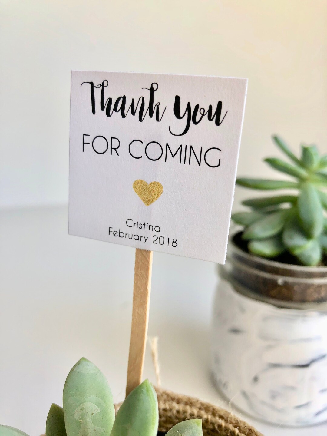 Plant Favor Sticks I Thank You for Coming I Plant Favor I Succulent ...