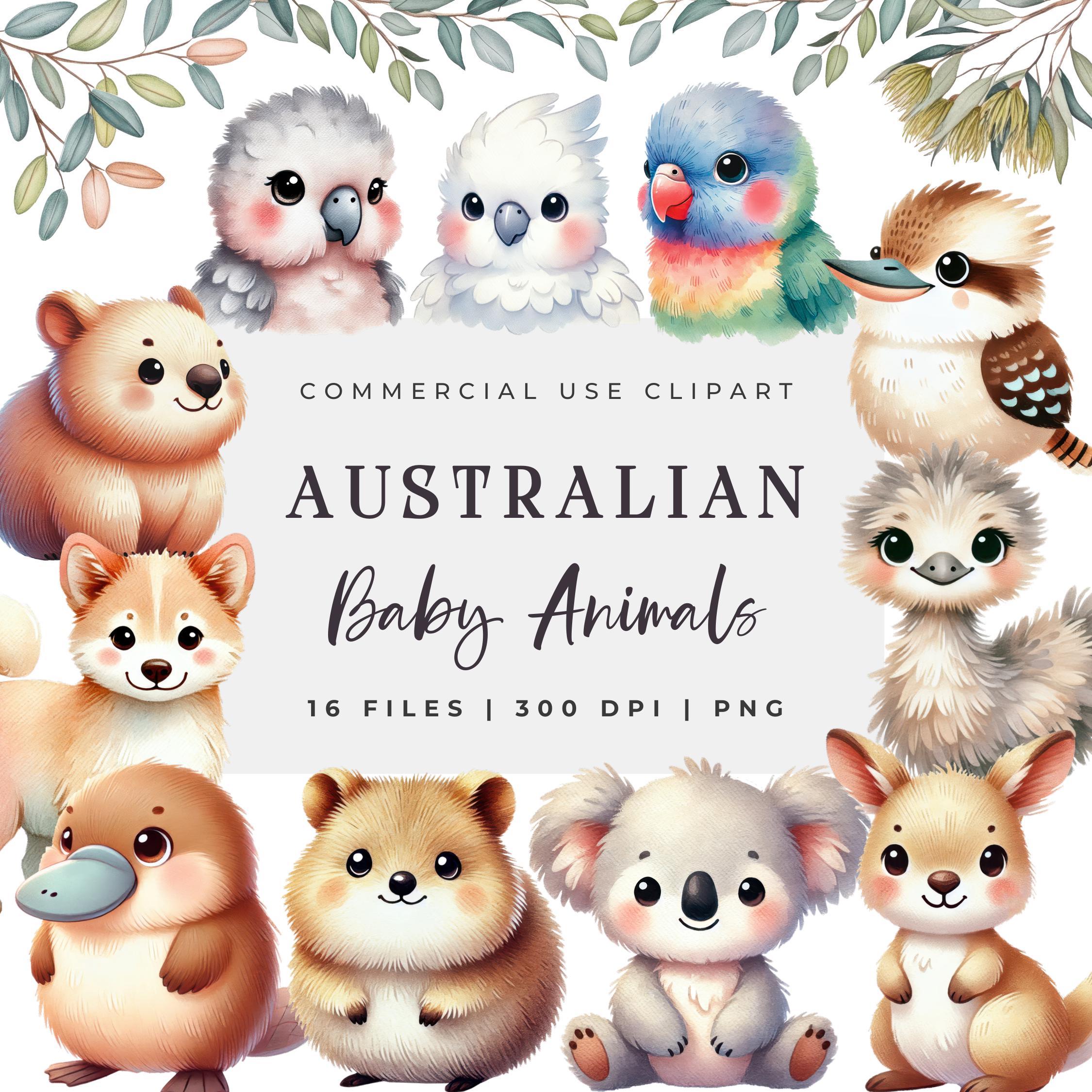 Australian Animals Watercolor Clipart Cute Animals Kangaroo Cute Koala ...