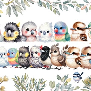 Australian Birds Png Bird Illustrations Kookaburra Clipart Digital ...