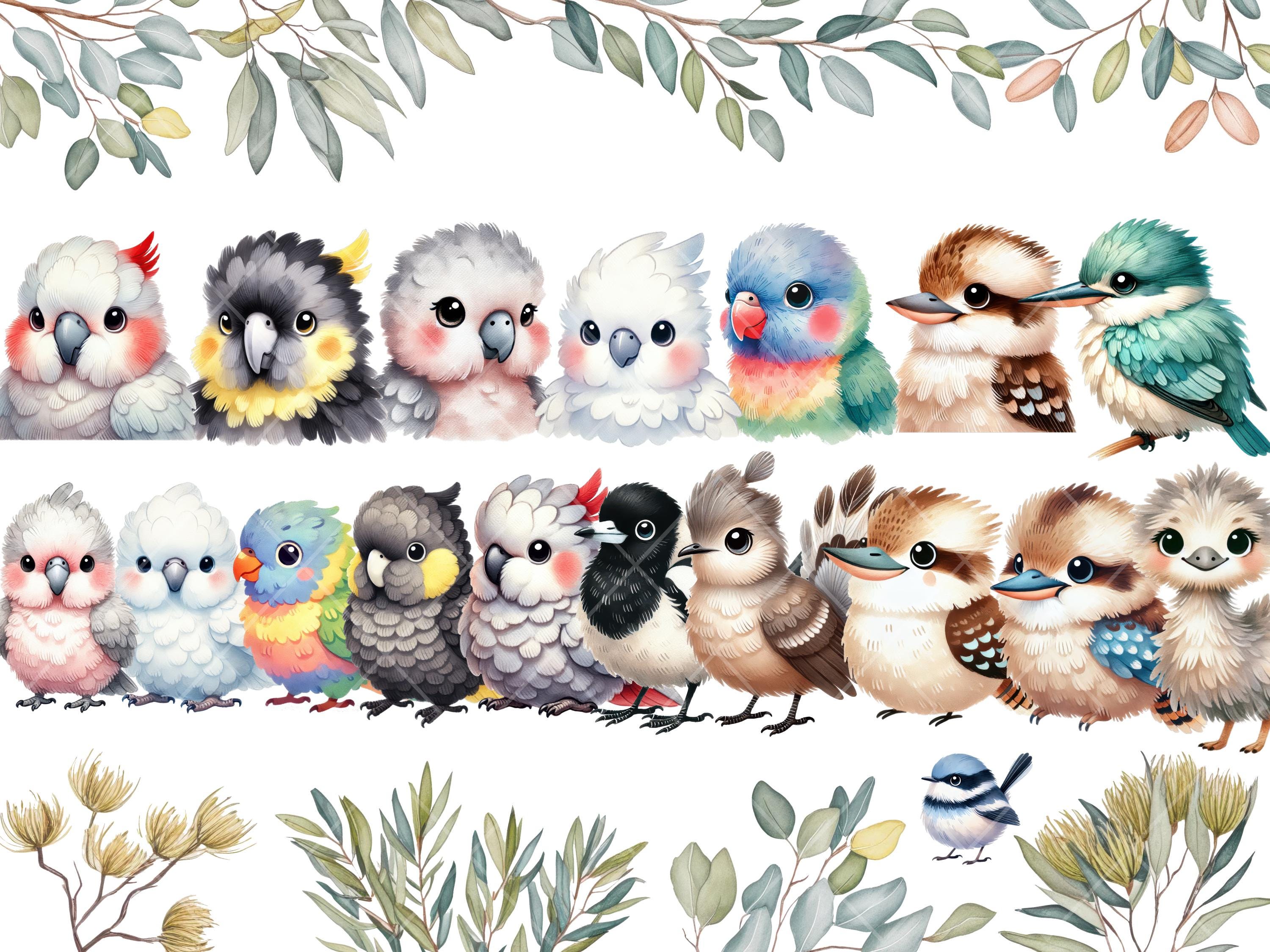 Australian Birds Png Bird Illustrations Kookaburra Clipart Digital ...
