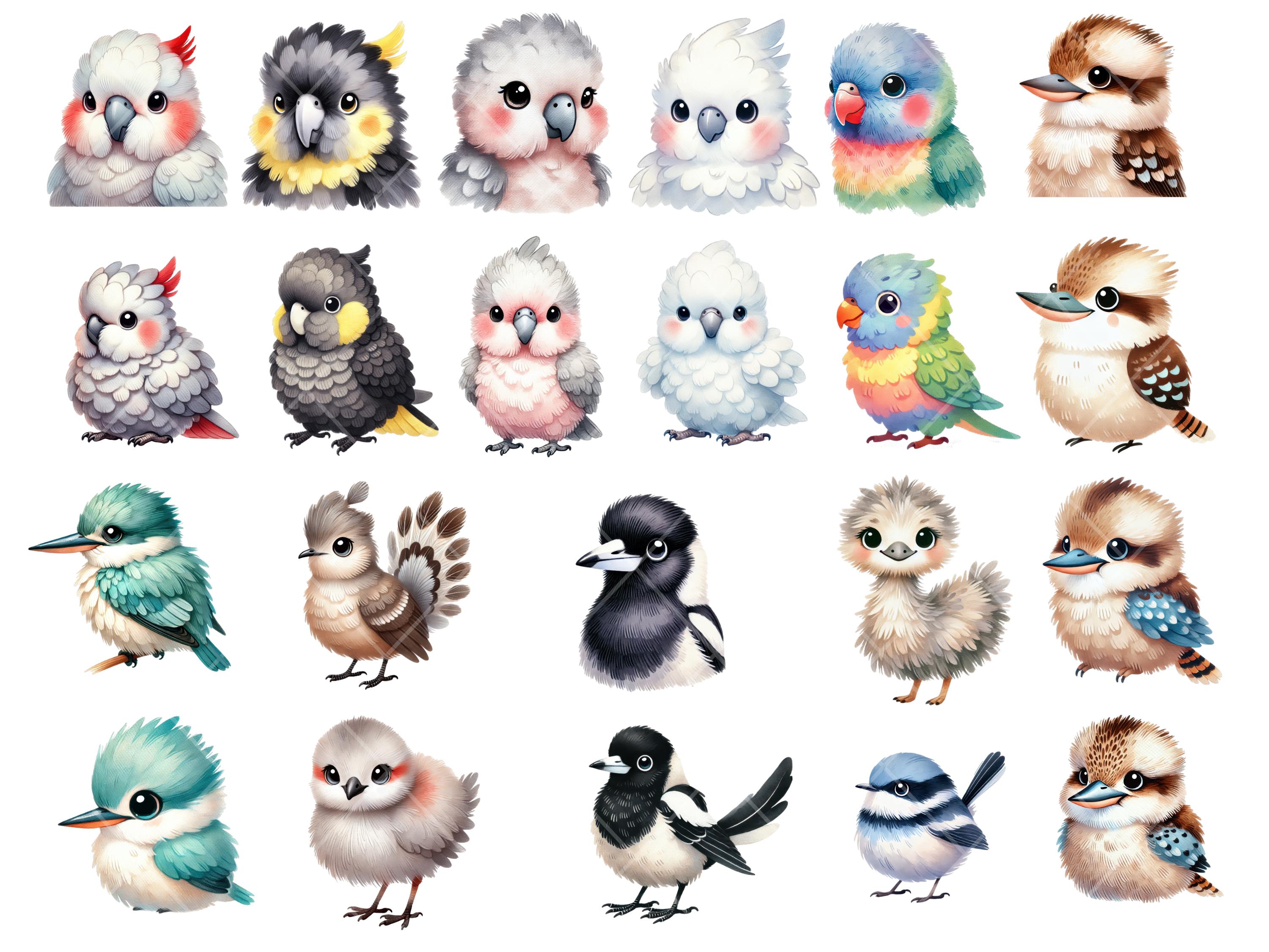 Australian Birds Png Bird Illustrations Kookaburra Clipart Digital ...