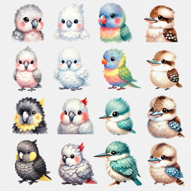 Australian Birds Png Bird Illustrations Kookaburra Clipart Digital ...