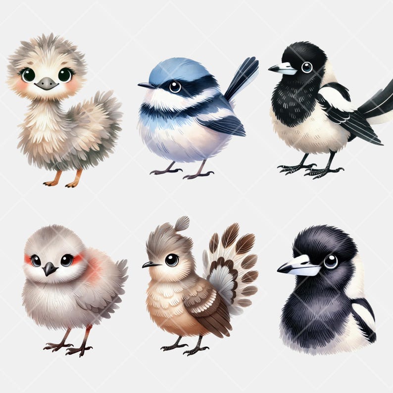 Australian Birds Png Bird Illustrations Kookaburra Clipart Digital ...