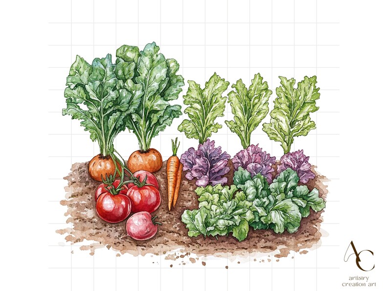 13 Vegetable Garden Clipart Bundle, Plant Backyard Png, Home Farmyard ...