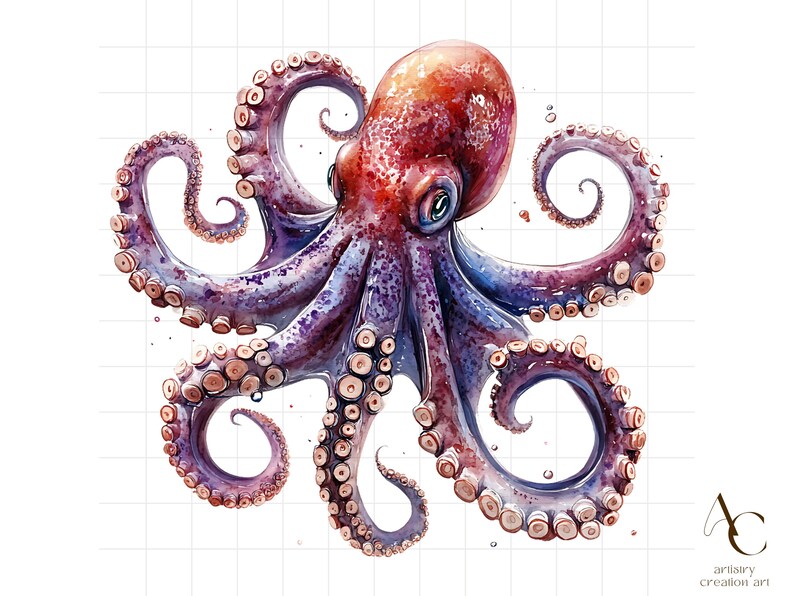 16 Octopus Clipart Bundle, Marine Life Png, Watercolor Underwater ...