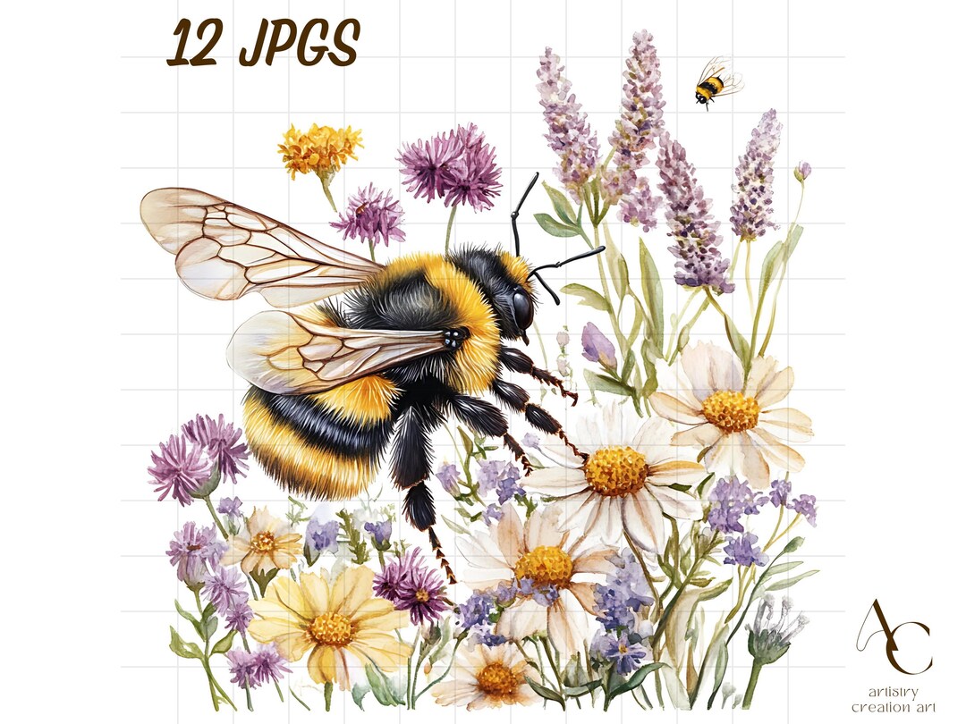 12 Wildflower Bee Clipart, Watercolor Insect, Spring Colorful JPG ...